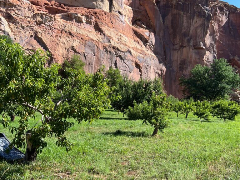 Fruita Historic District: A Step Back in Time - CapitolReefCountry